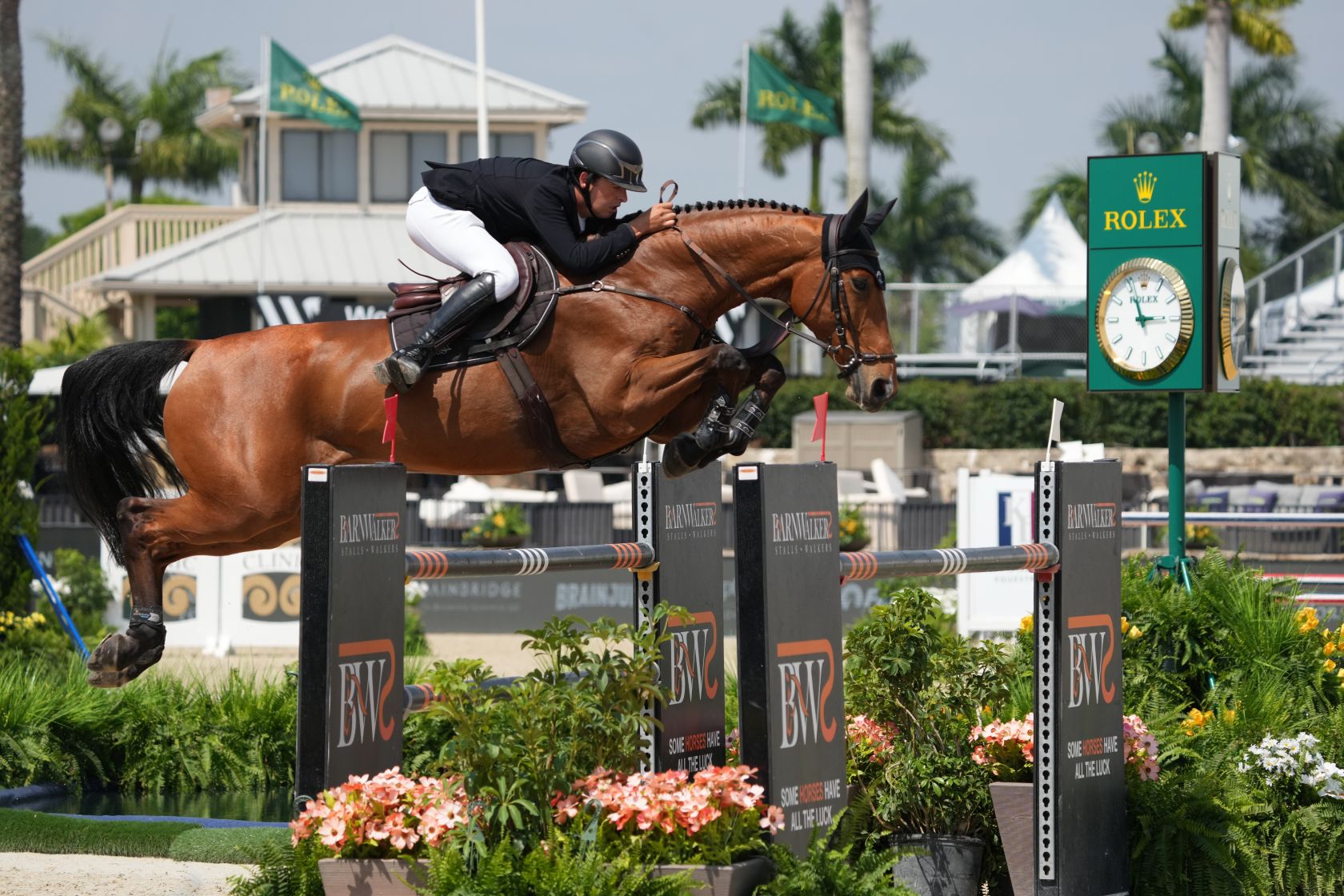 HH CONRAD Z - BEWÄHRTE REFERENZEN: AUS SPITZENSPORT ENTSTEHT SPITZENSPORT! | Gestüt Zangersheide